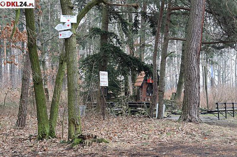 Wzgórze Marii ponownie stanie się atrakcją turystyczną | DKL24.pl ...